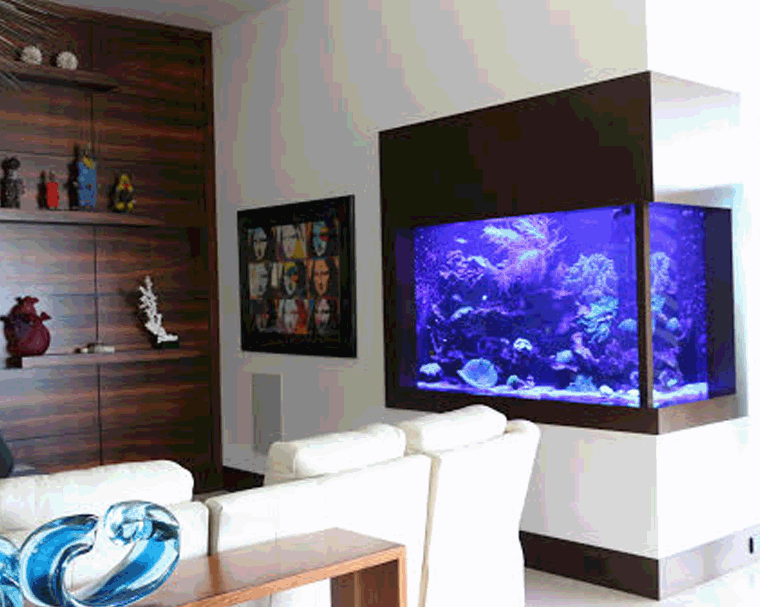 Gallery and Portfolio Archive - Magnificent AquariumsMagnificent Aquariums