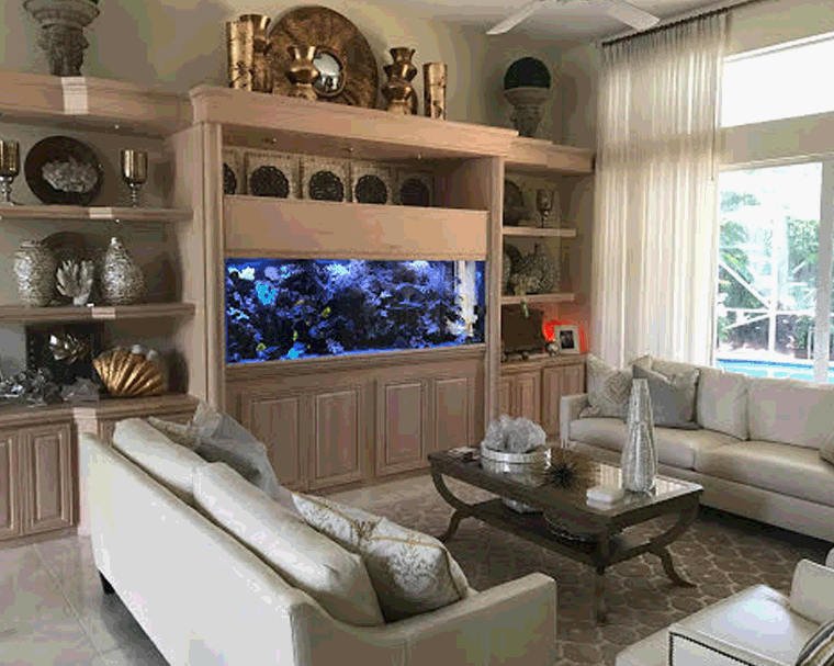 Gallery and Portfolio Archive - Magnificent AquariumsMagnificent Aquariums