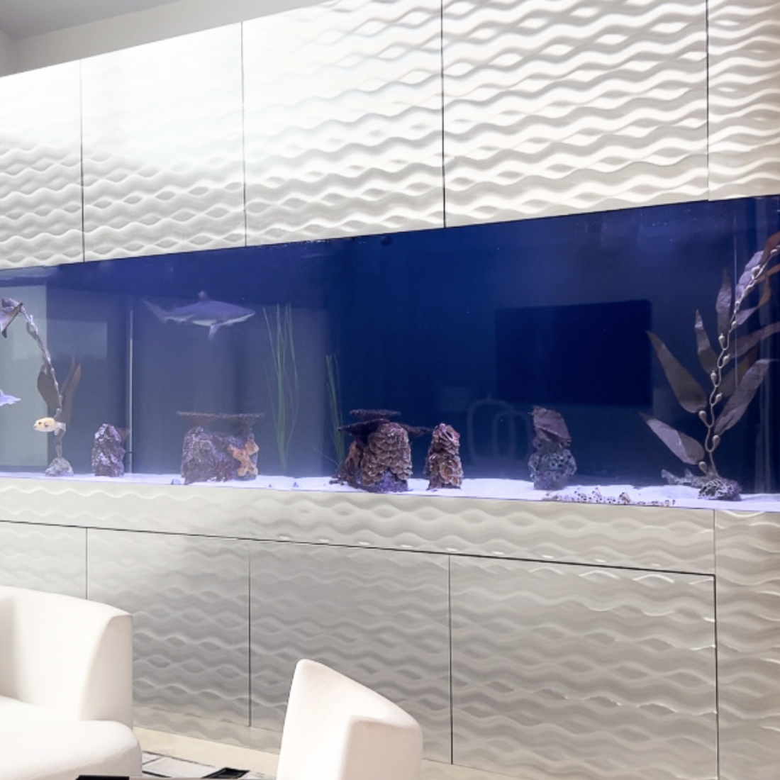 Magnificent Aquariums – A World Of Wonders