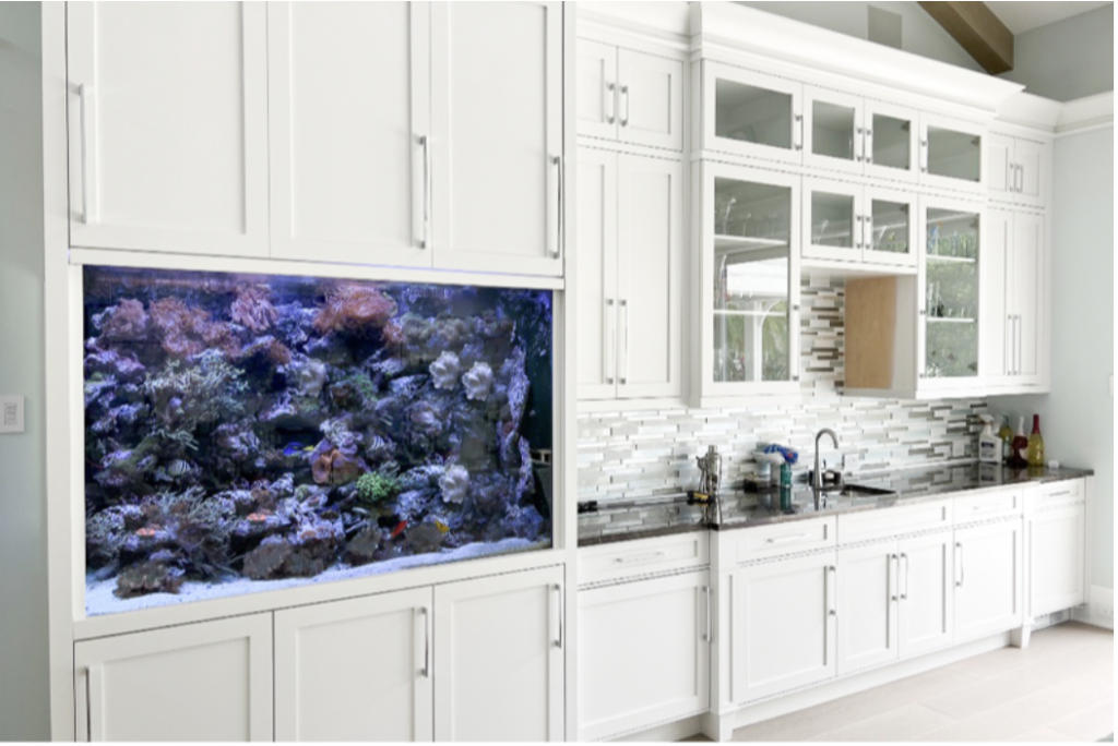 400 Gallon Natural Live Reef Aquarium – Magnificent Aquariums