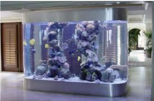3000 Gallon Center Room Aquarium – Magnificent Aquariums